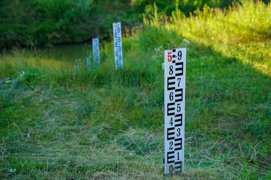 Dementia Rating Scale PDF | Download Free Assessment Tool