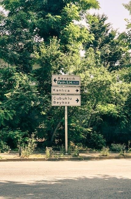 Find Your Perfect Tie Width: Ultimate Guide | Omega Wolves